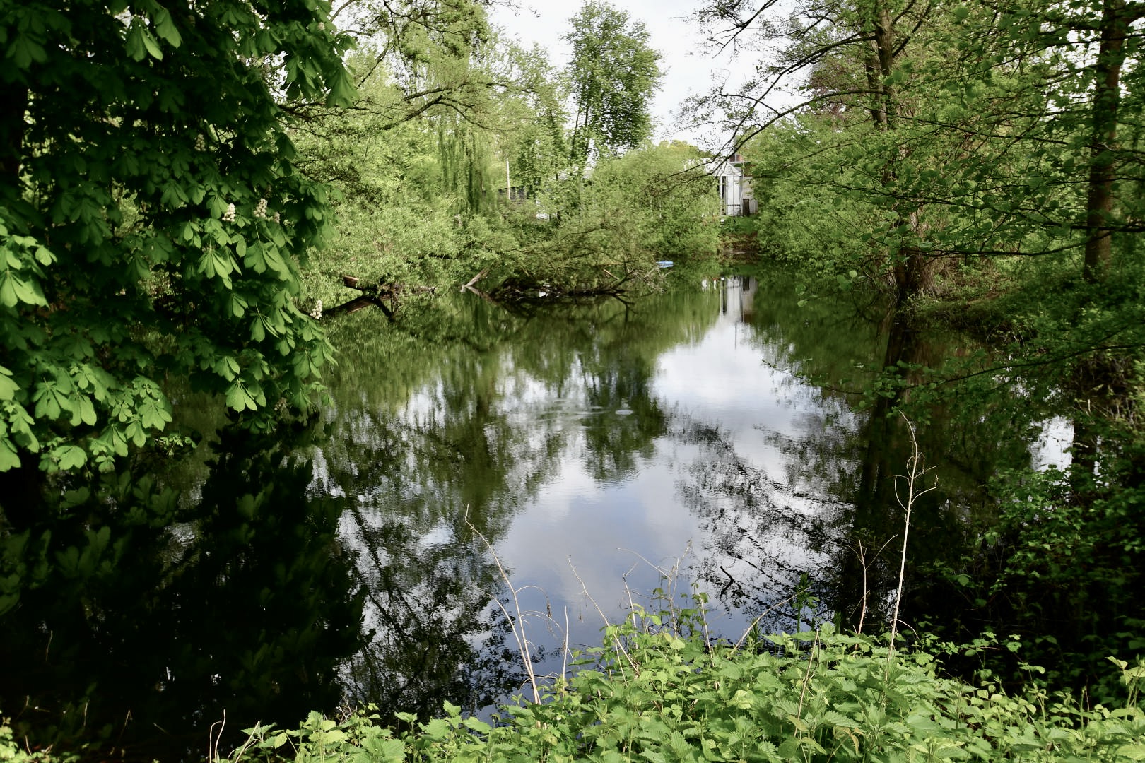 Floh Teich - Hannover e. V.